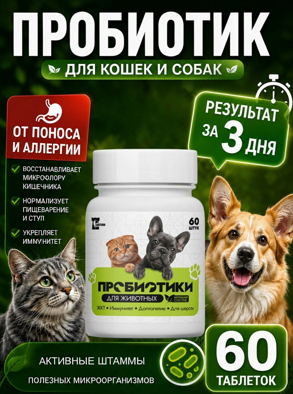 Витамины, пробиотики для собак, кошек, для животных, Курунга, 60 таблеток