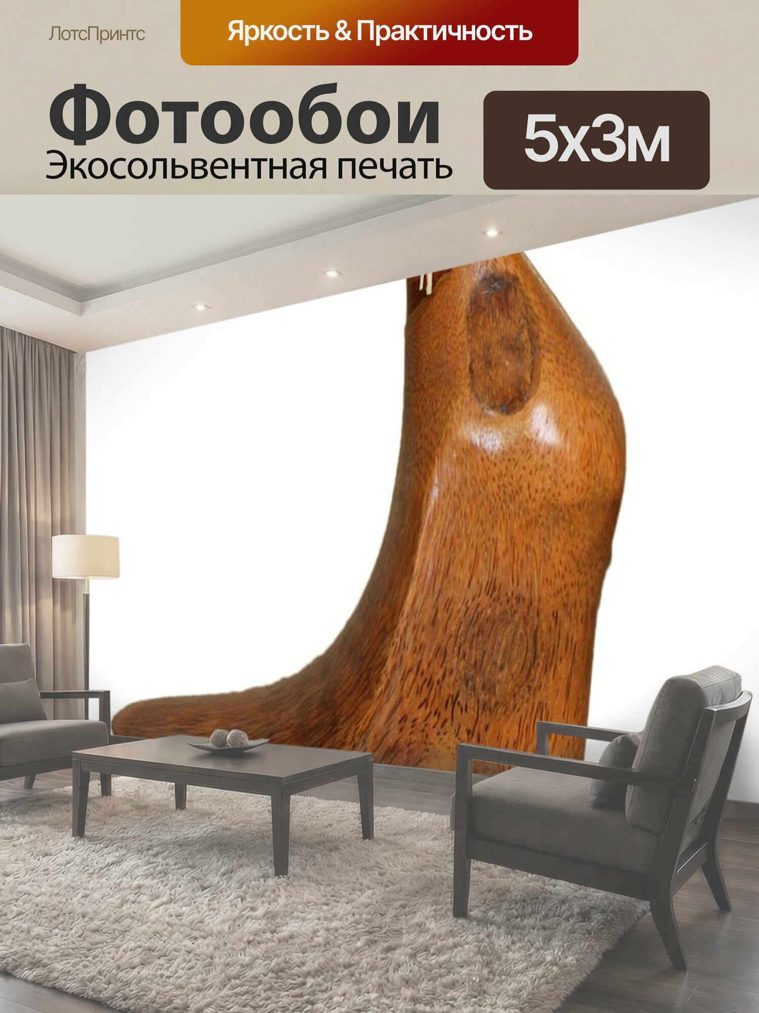 Фотообои "Деревянные утка, деревянный, утка" 500x300 см. экосольвентная печать