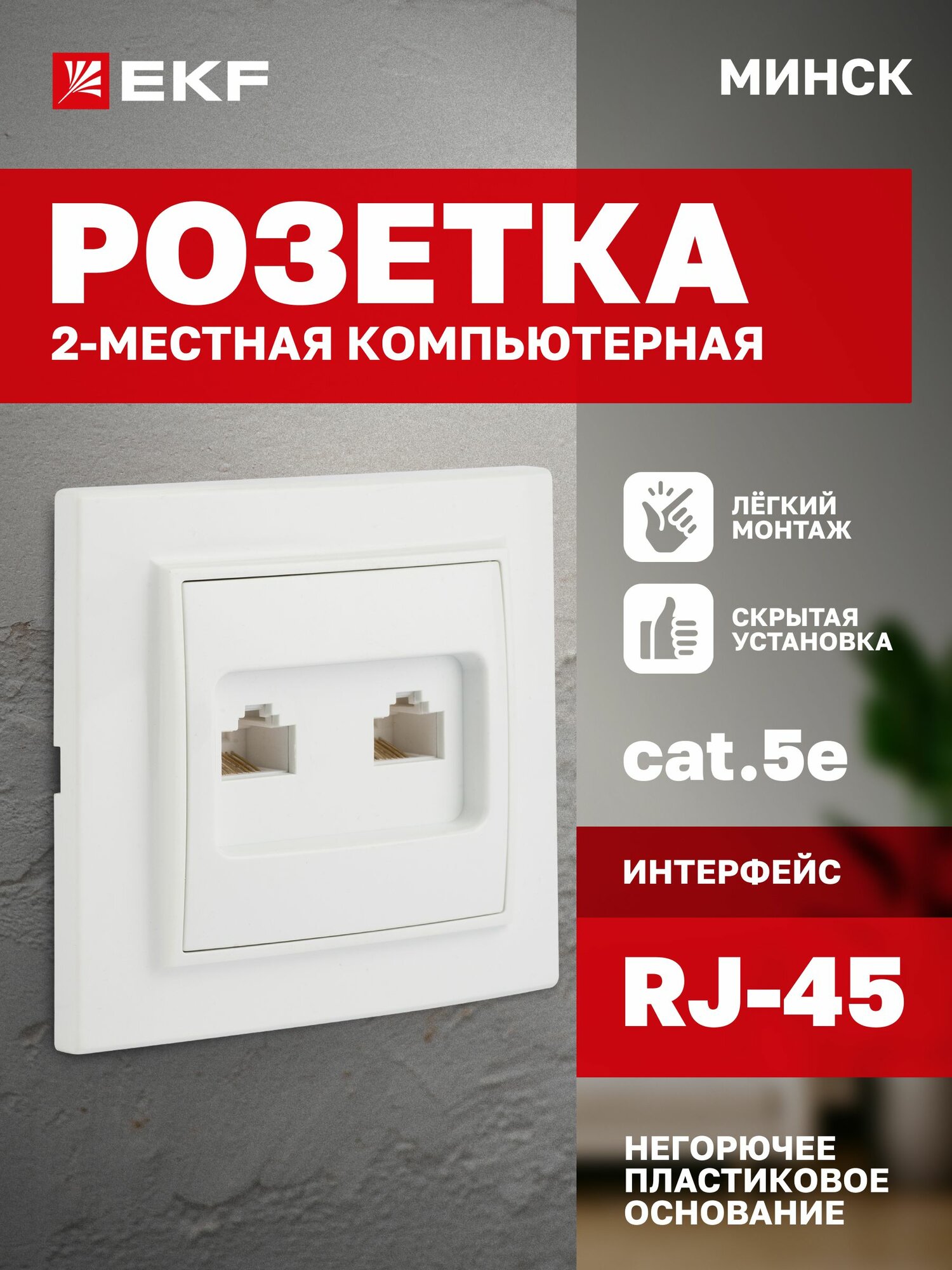 Розетка 2 x RJ-45 LAN компьютерная (8P8C) для витой пары (сетевого кабеля) ЛВС двойная (2-местная, 2 порта) СП белая Минск EKF