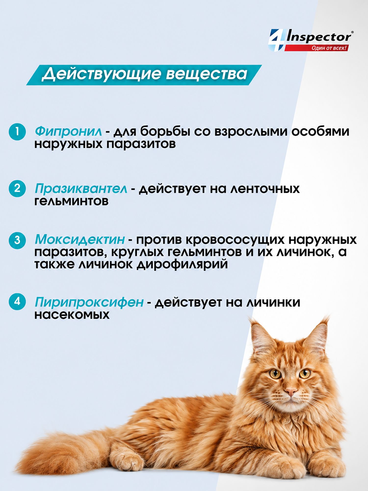 Капли от клещей блох глистов для кошек Inspector Quadro 4-8 кг, 1 пипетка — фото 1