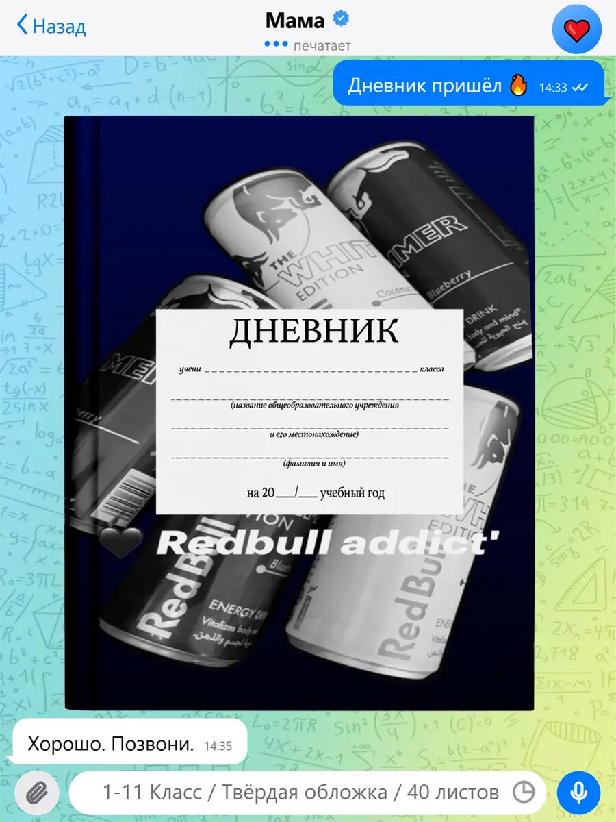 Школьный дневник с принтом Роблокс