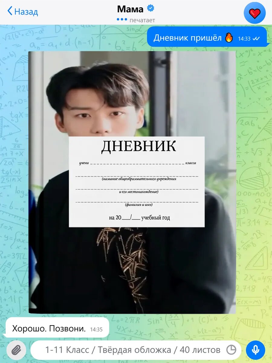 Школьный дневник с принтом Роблокс