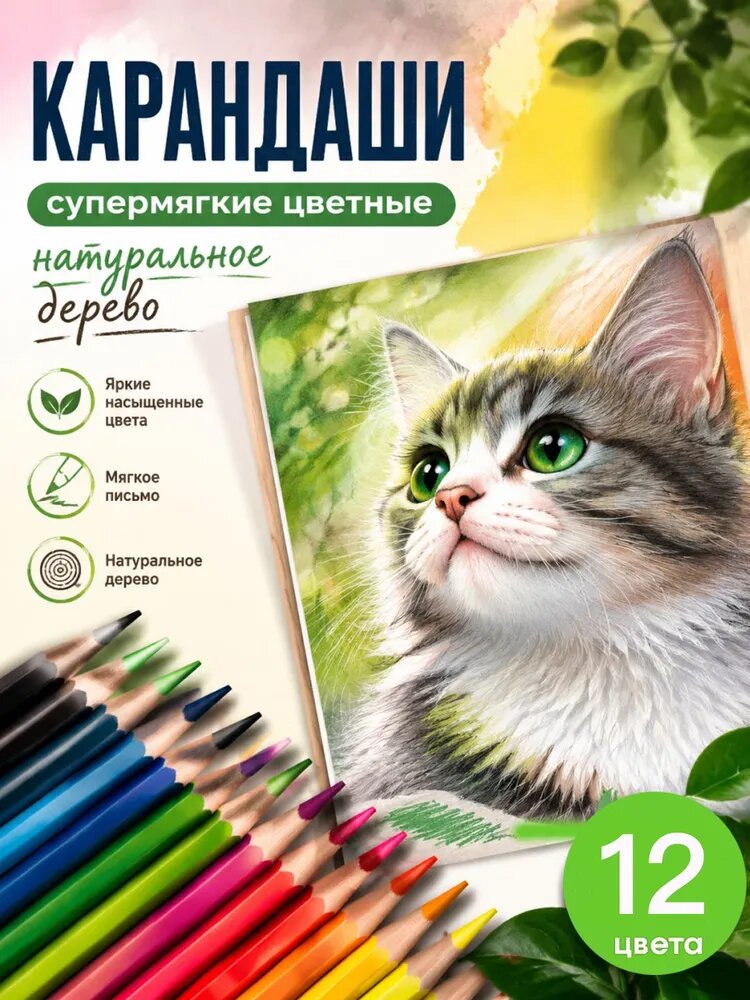 Угольные цветные карандаши , 12 цветов