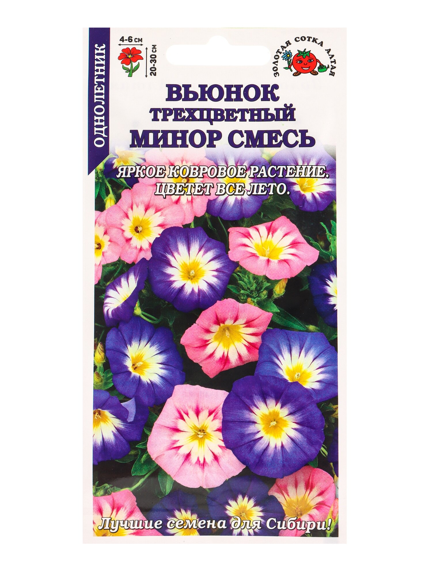 Семена Вьюнок Минор. 6 упаковок