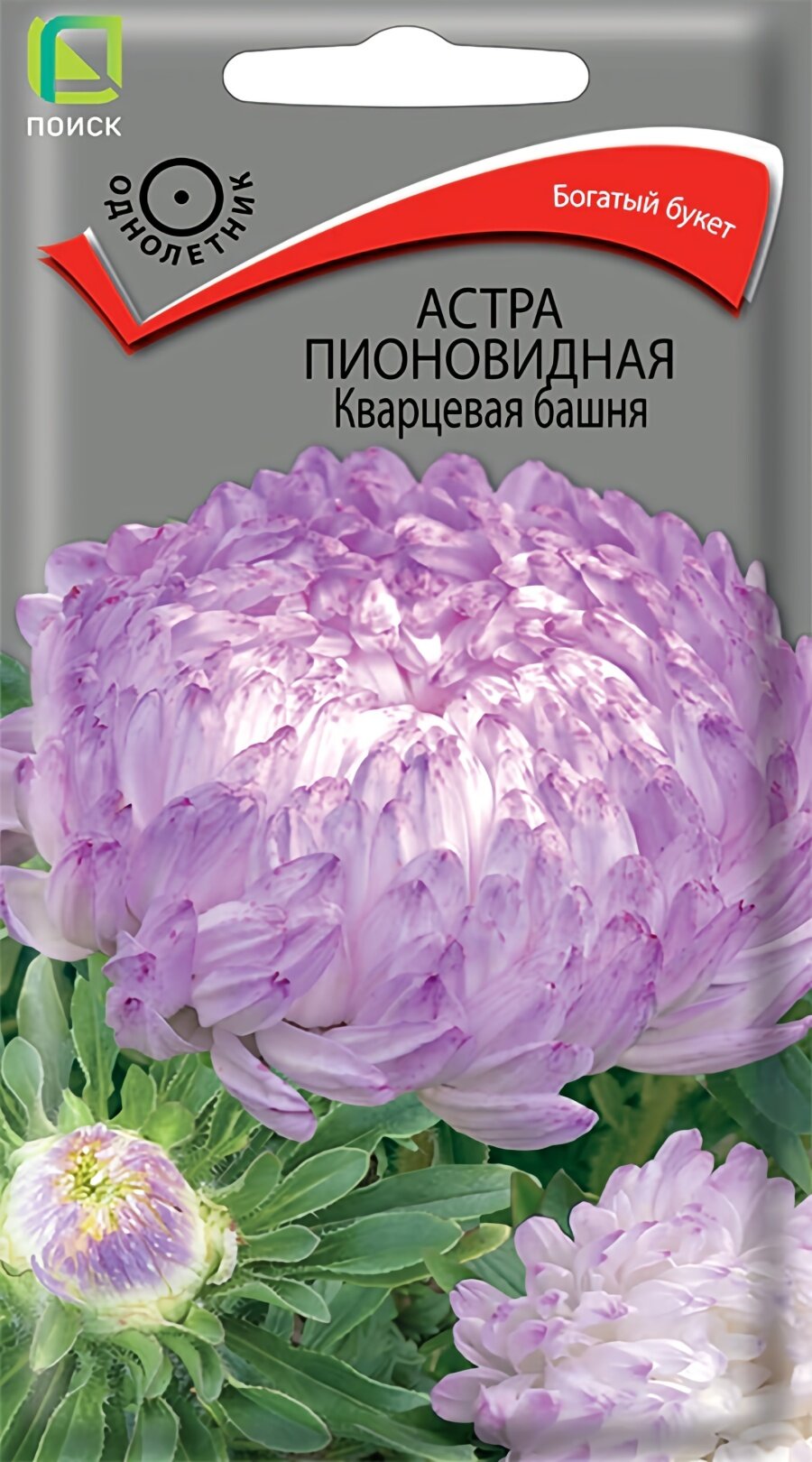 Семена астры Кварцевая башня пионовидная, 0,3 г, Поиск, однолетник, высота до 65 см, посев на рассаду в феврале–апреле