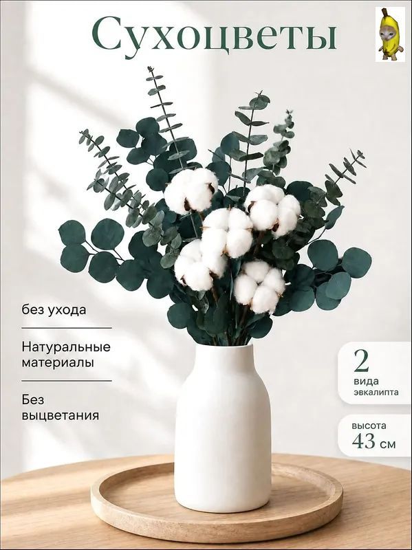 Сухоцветы Хлопок, Эвкалипт 43 см белый