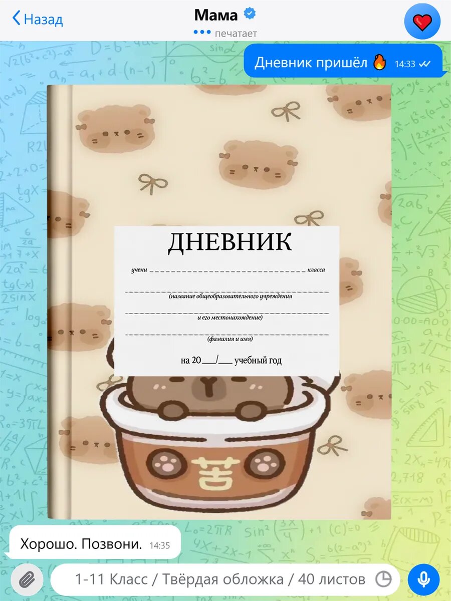 Школьный дневник с принтом Роблокс