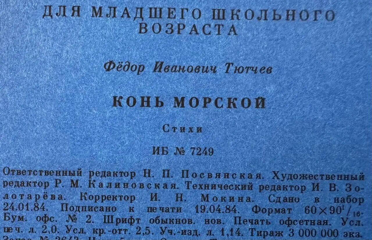 Конь морской — фото 1