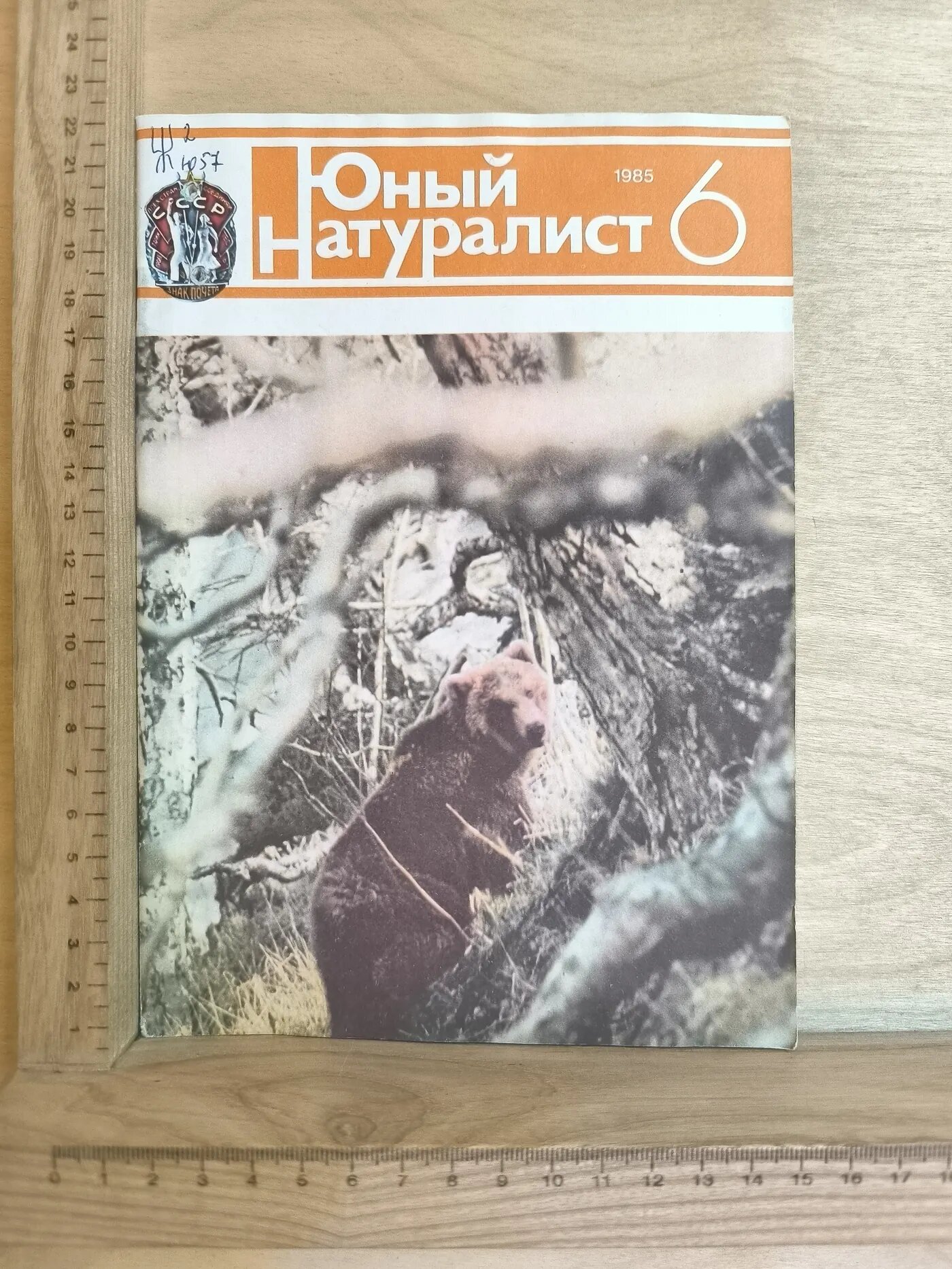 Юный натуралист 1985 №6