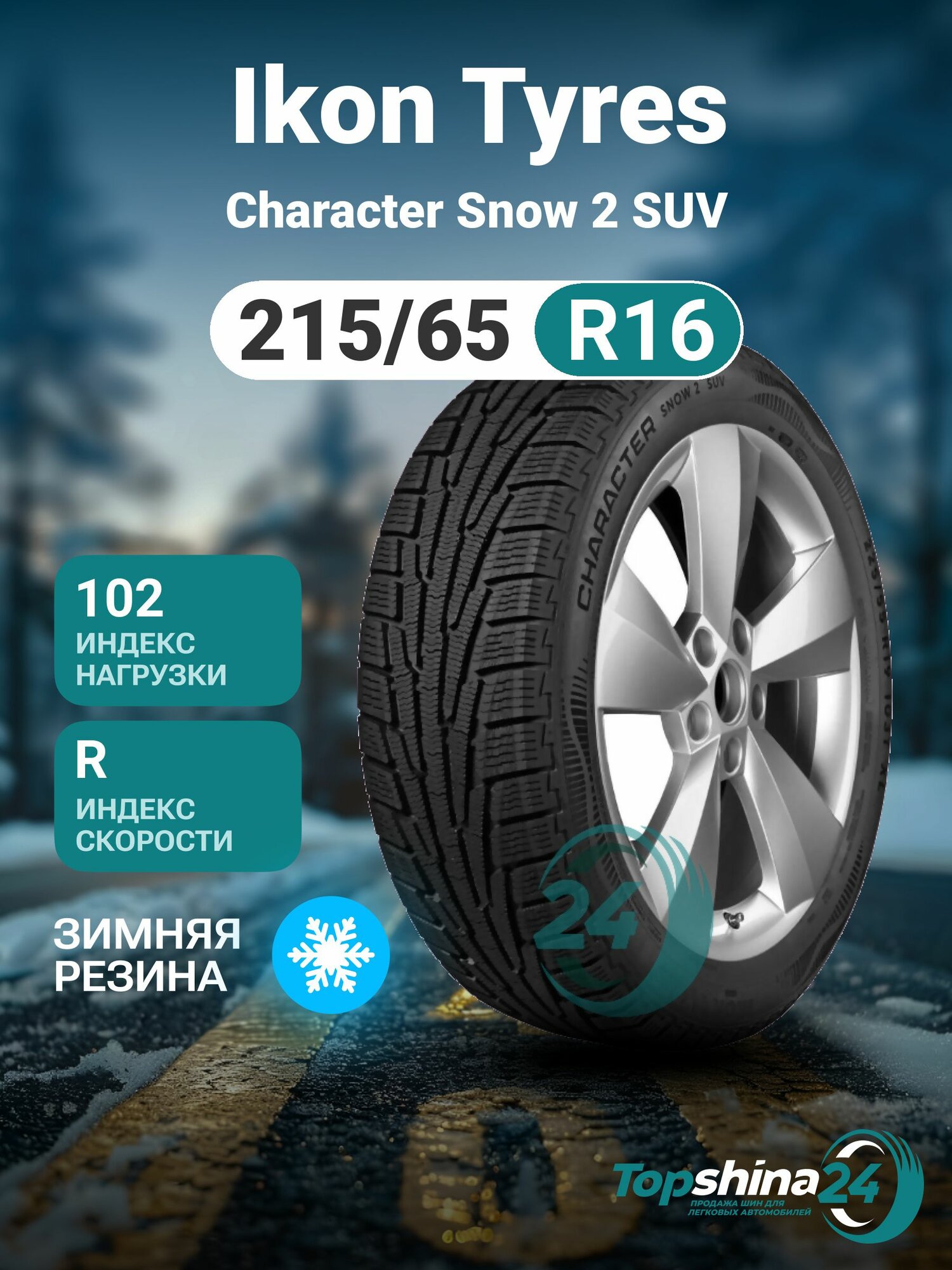 Шины зимние Ikon Tyres Character Snow 2 SUV 215/65 R16 R102