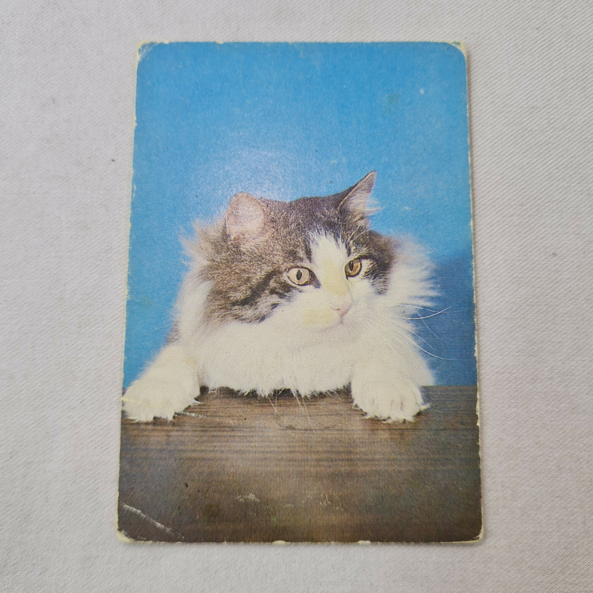 Карманный календарик 1984. Кот на фоне, цирк и праздники. Календарь винтажный