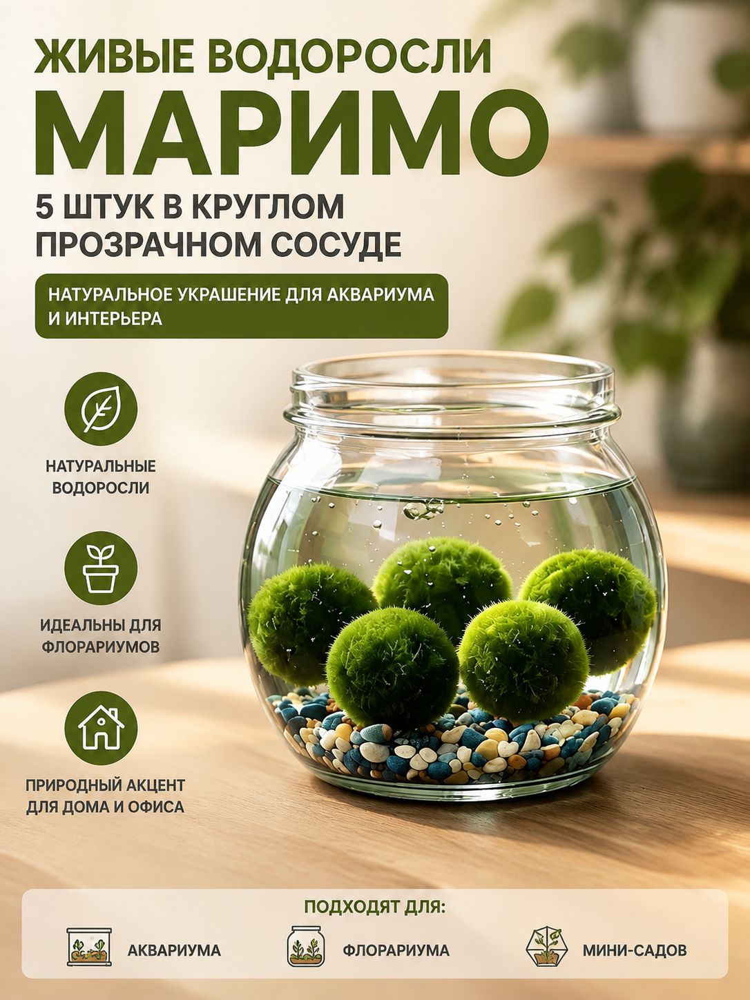 Живые водоросли маримо 5 штук для аквариума и флорариума декоративное украшение