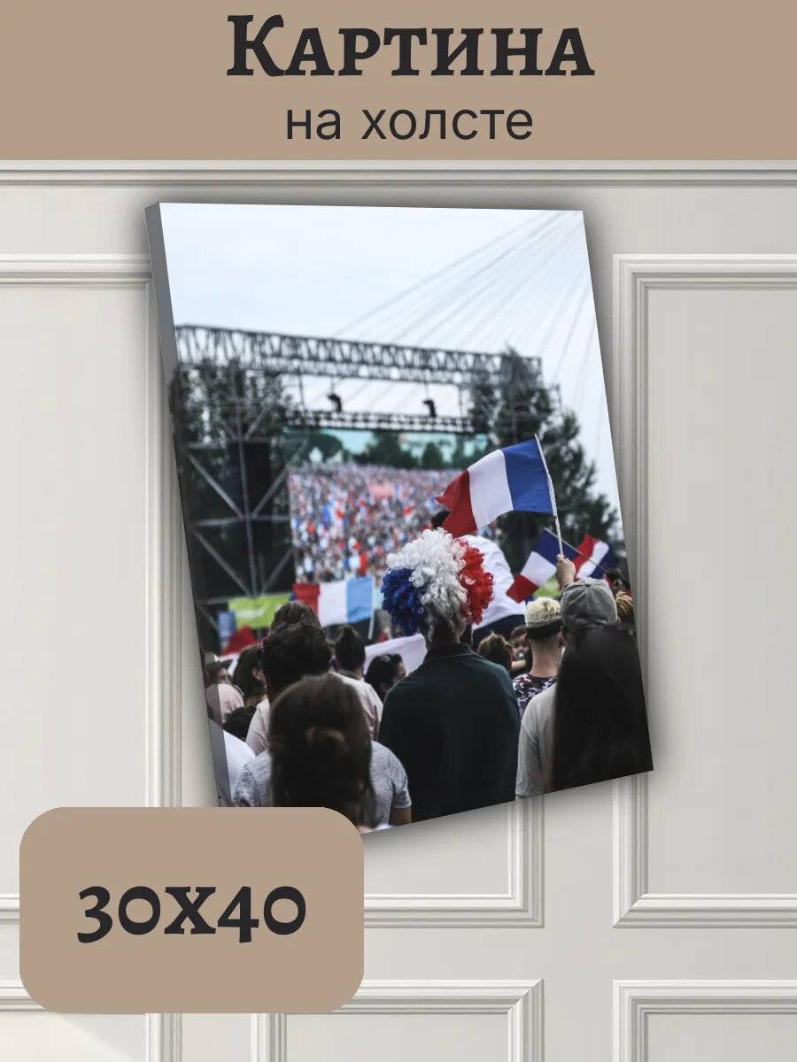 Картина Постер Франция France 30x40 концерт триколор толпа