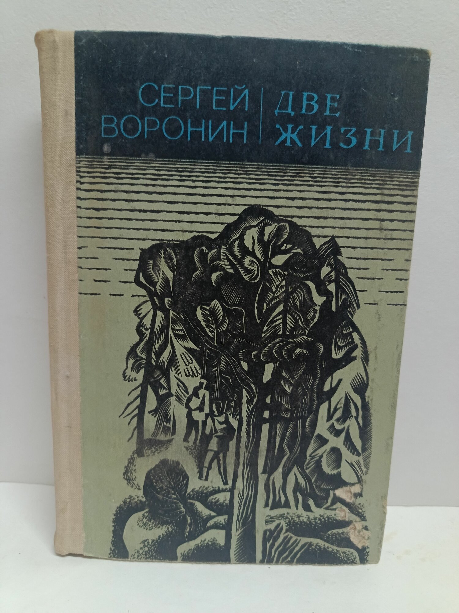Две жизни (Воронин Сергей) 1980 г.