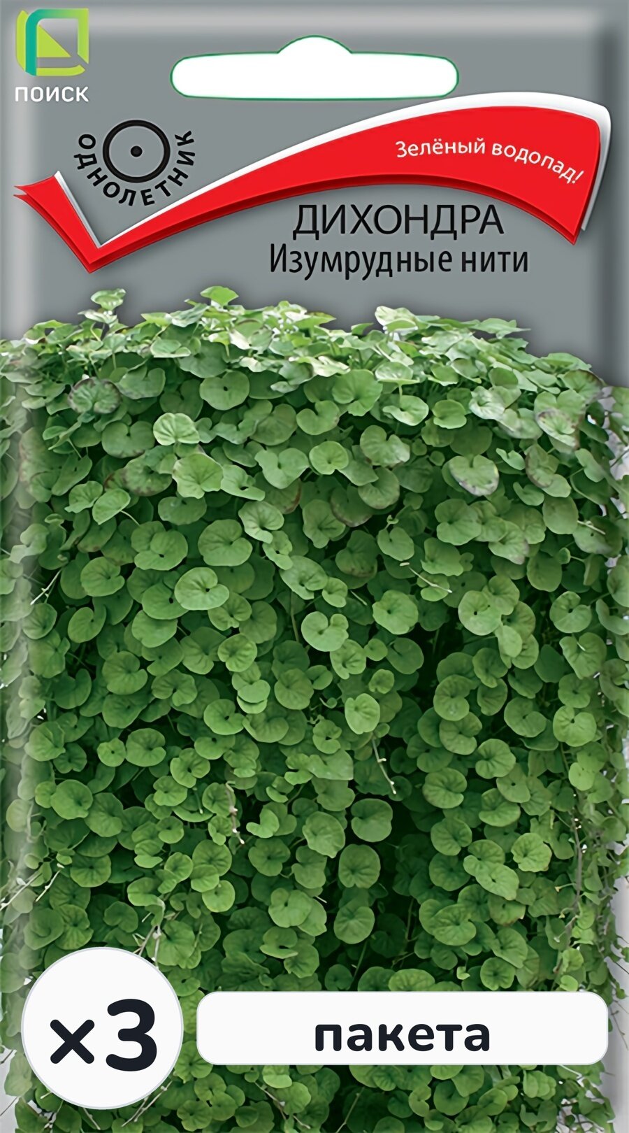 Семена дихондры Изумрудные нити, 5 шт, 3 пакета, поиск, однолетник, высота до 120 см, посев на рассаду в январе–марте