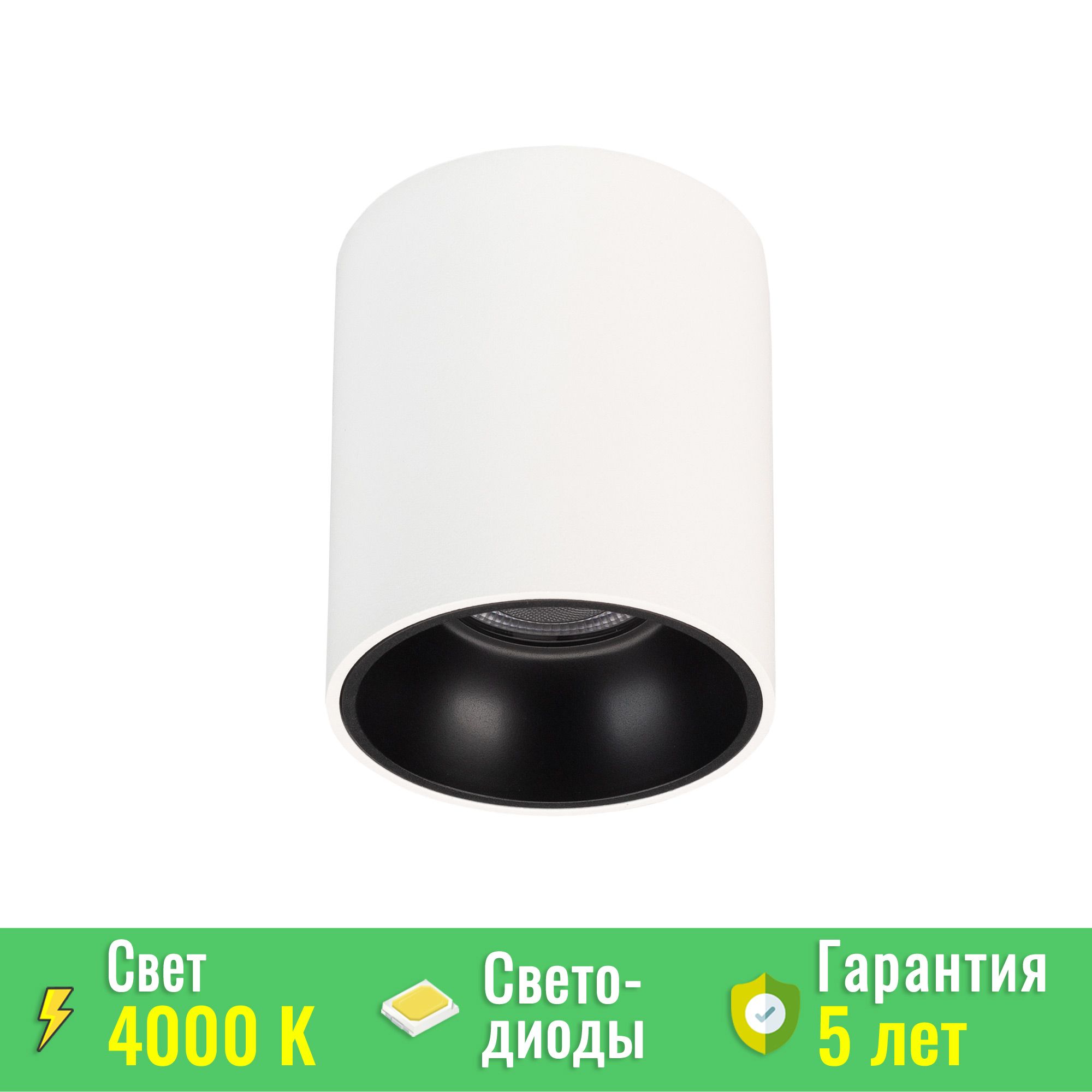 Светильник потолочный накладной SP-SALT-R75-8W Day4000 (WH-BK, 40 deg, 230V) (Arlight, IP44 Металл, 5 лет) 039376