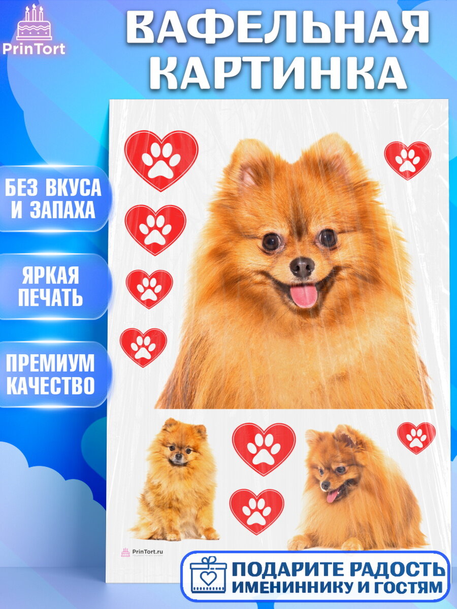Вафельная картинка для торта Шпиц. Украшения для торта на День Рождения. Декор для выпечки PrinTort
