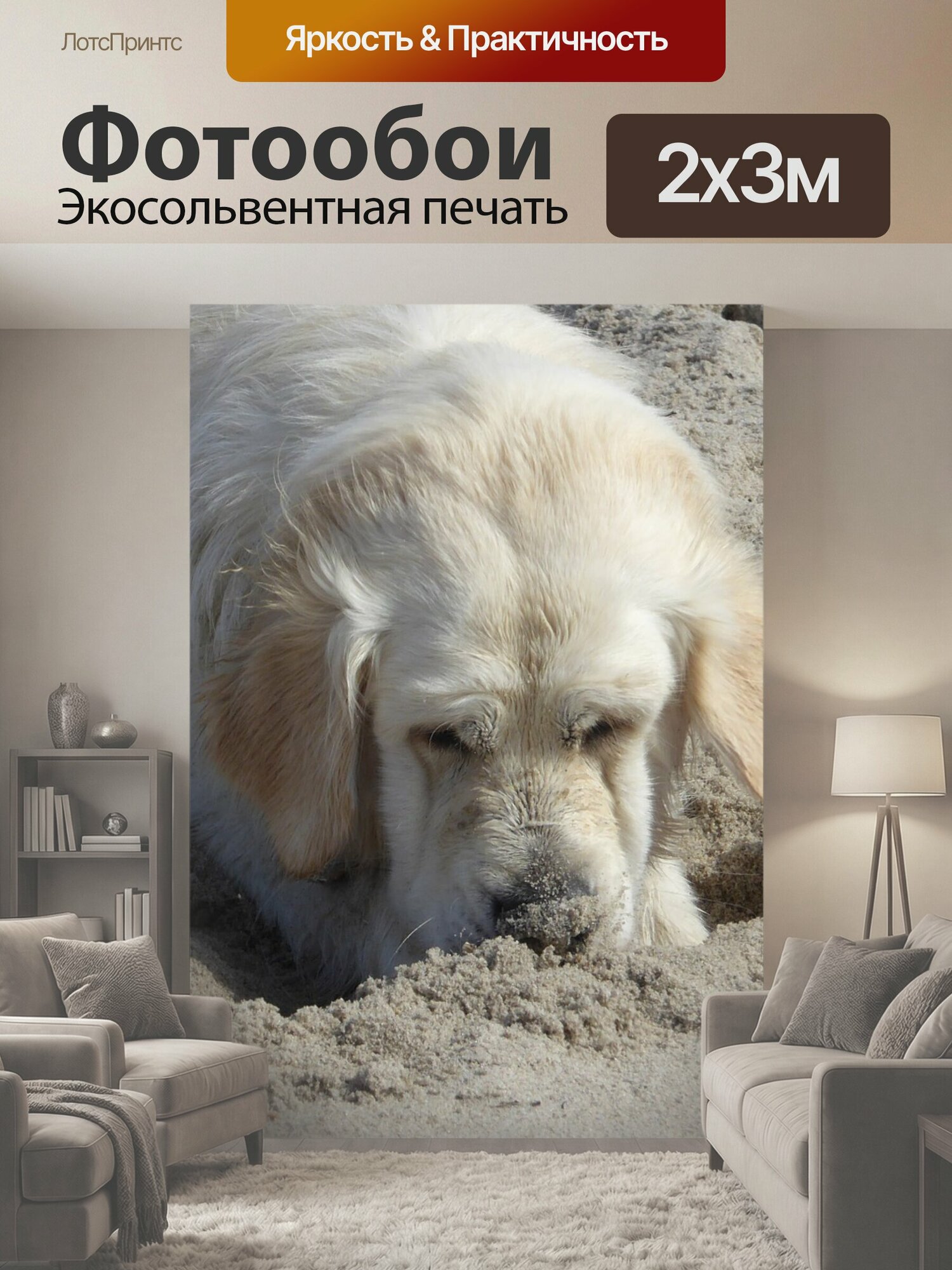 Фотообои "Золотистый ретривер, собака, пляж" 200x300 см. экосольвентная печать