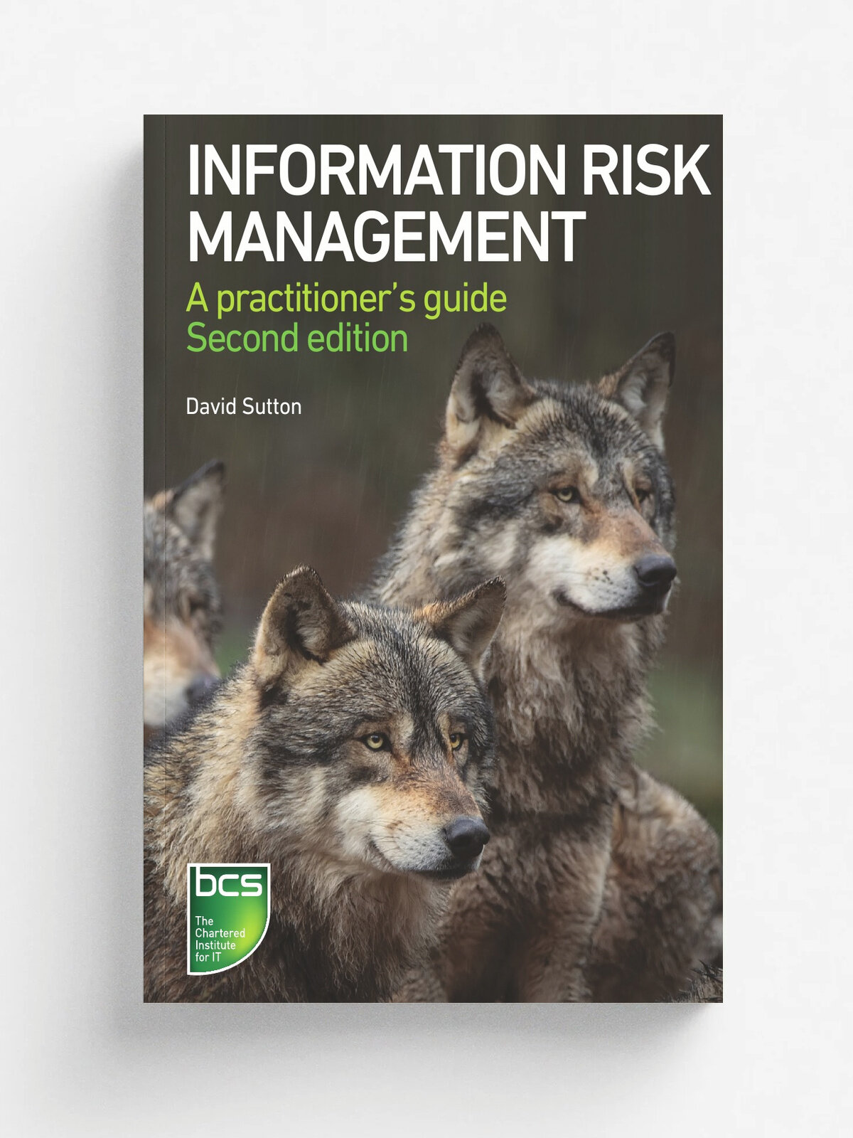Information Risk Management. A Practitioner's Guide