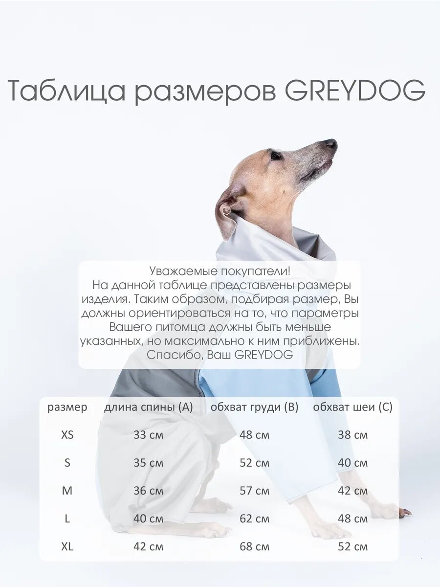 Комбинезон дождевик для собак GREYDOG — фото 1
