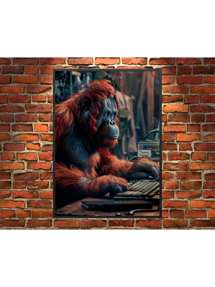 Программист для животных-орангутангов 4, Плакат 30x42см