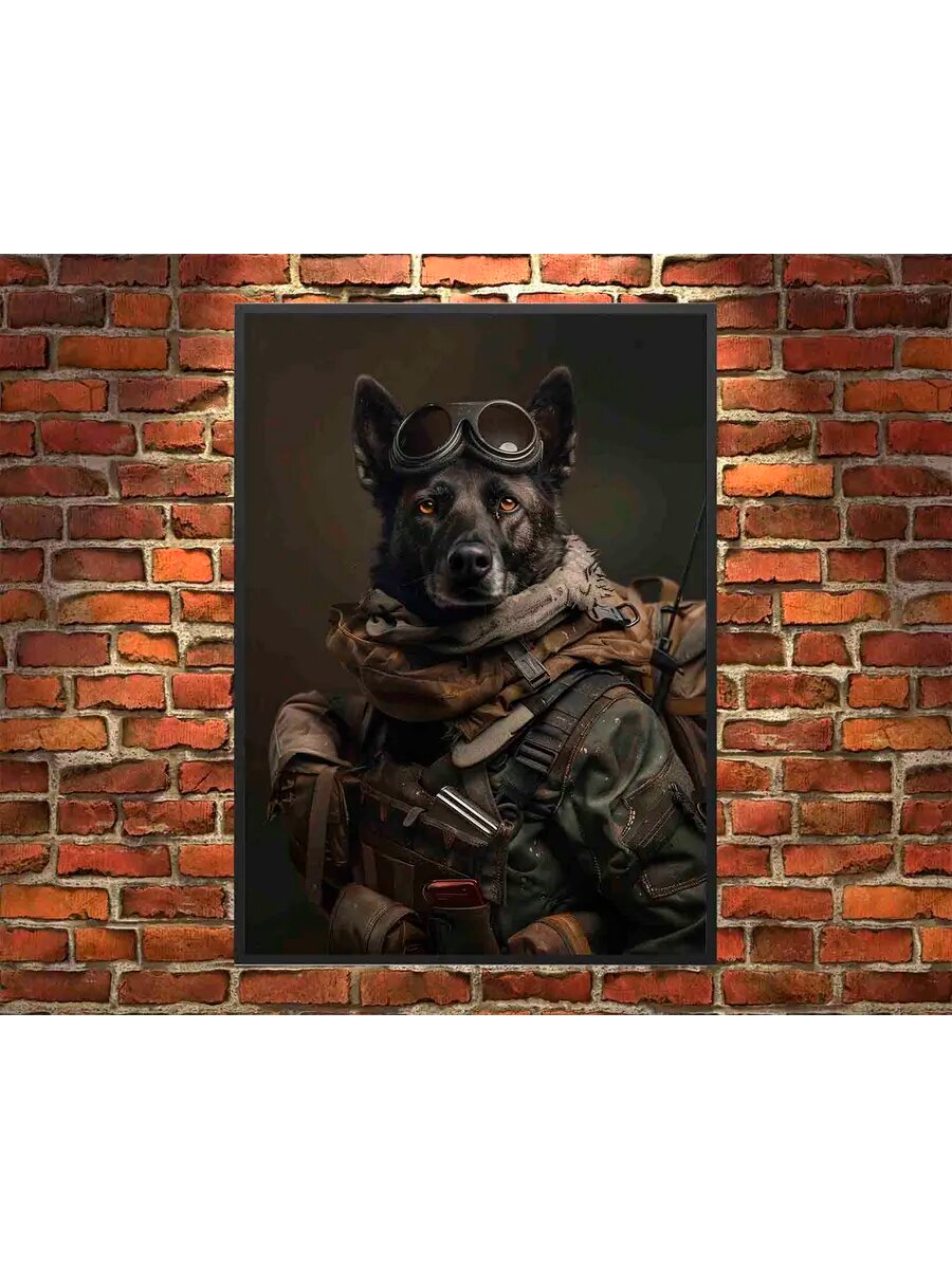 Австралийский пастуший пес-солдат 2, Плакат 30x42см