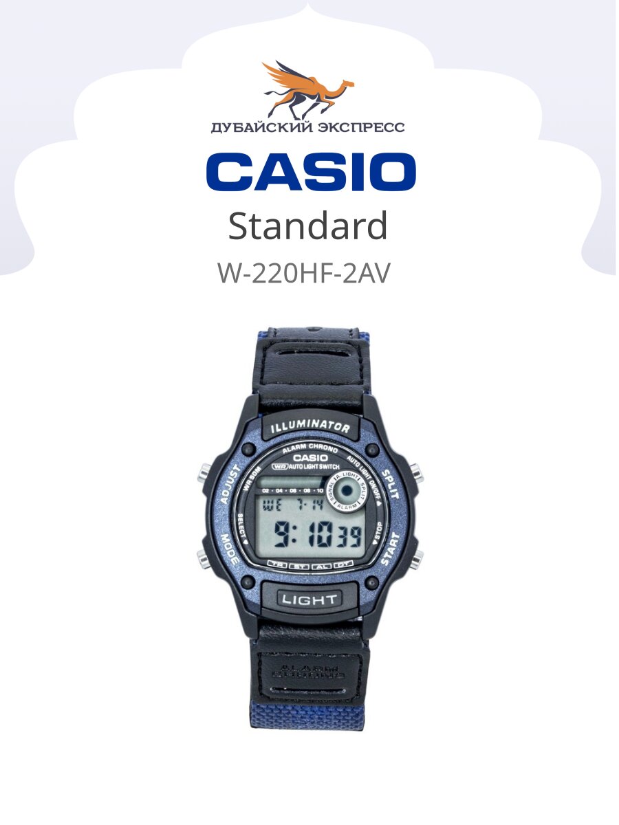  CASIO