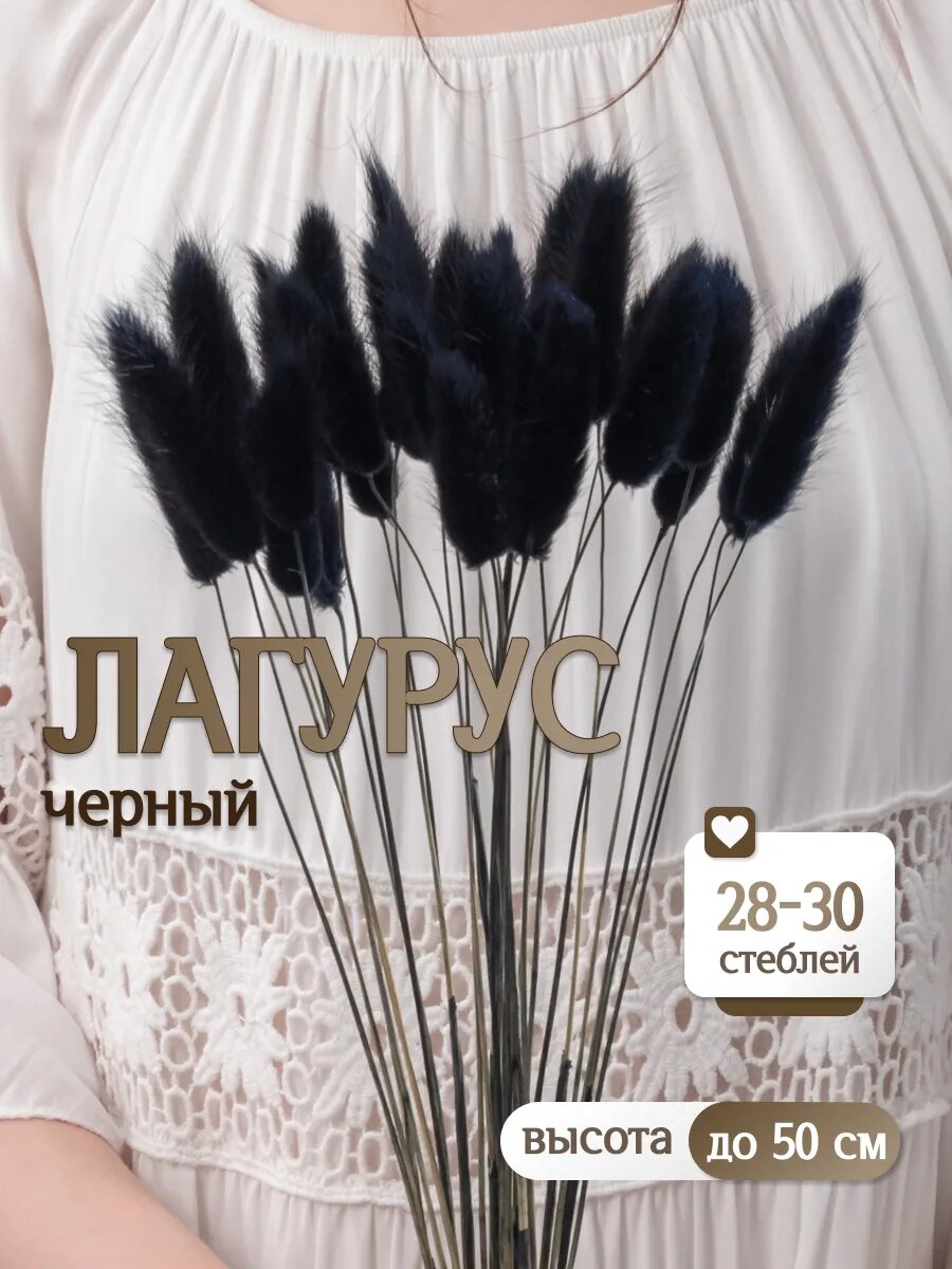 Лагурус черный 30 шт для букета до 50 см, сухоцвет для декора elka.bio