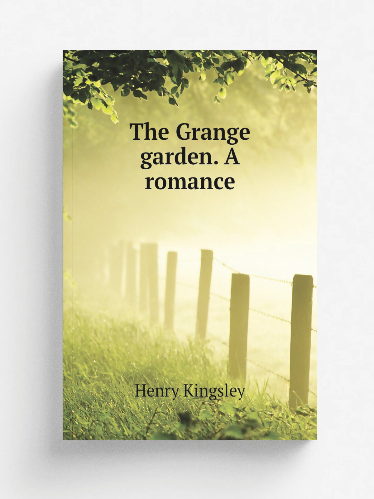 The Grange garden. A romance | Kingsley Henry | Репринт