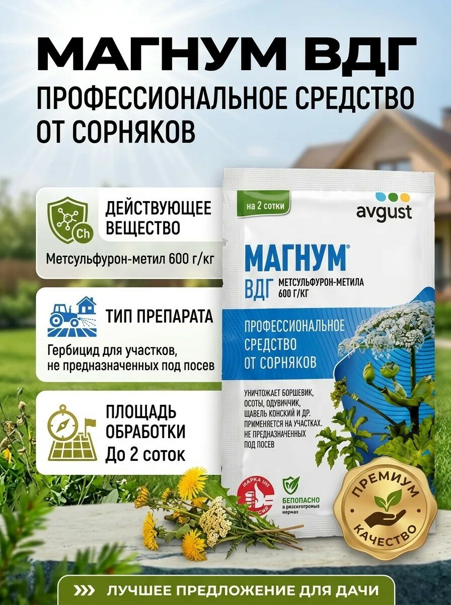 Магнyм