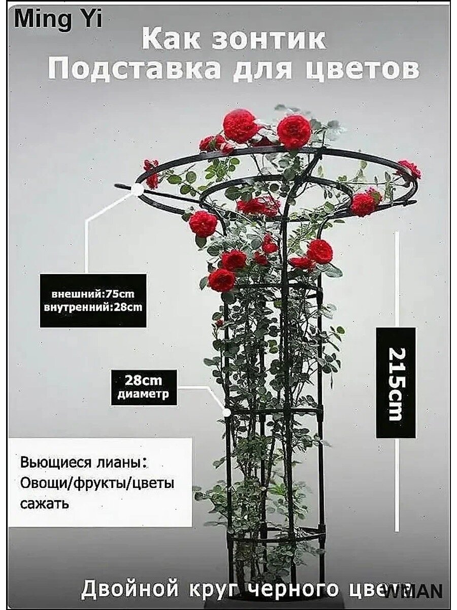 WMAN Арка садовая,1шт