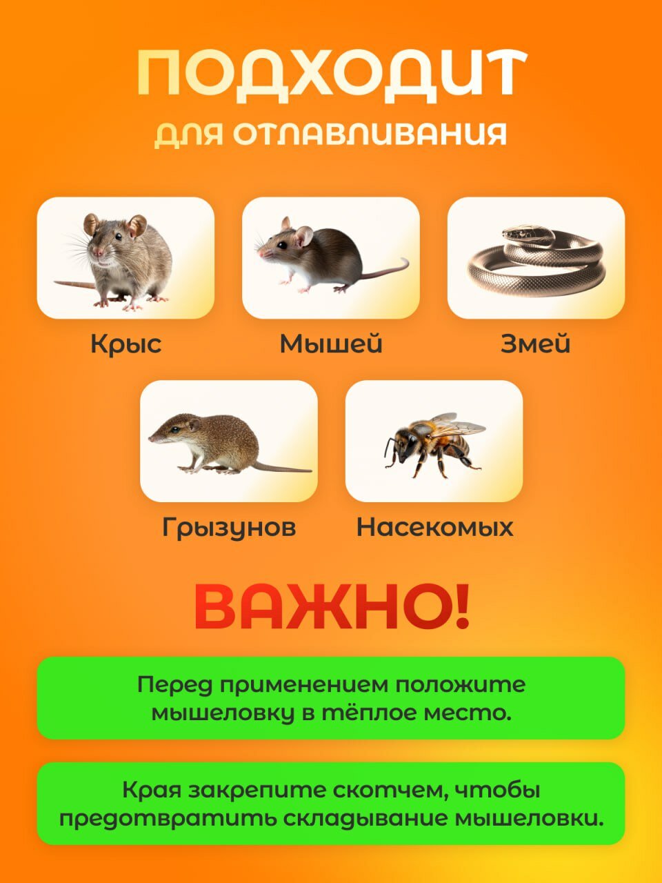 Мышеловка — фото 1