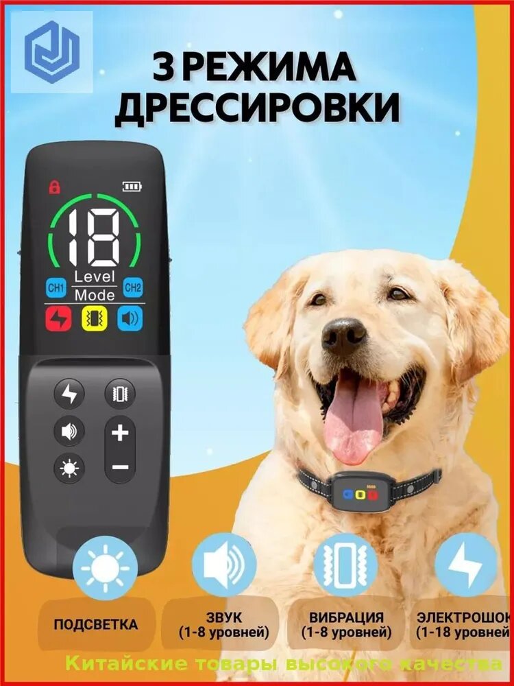 Ошейник
