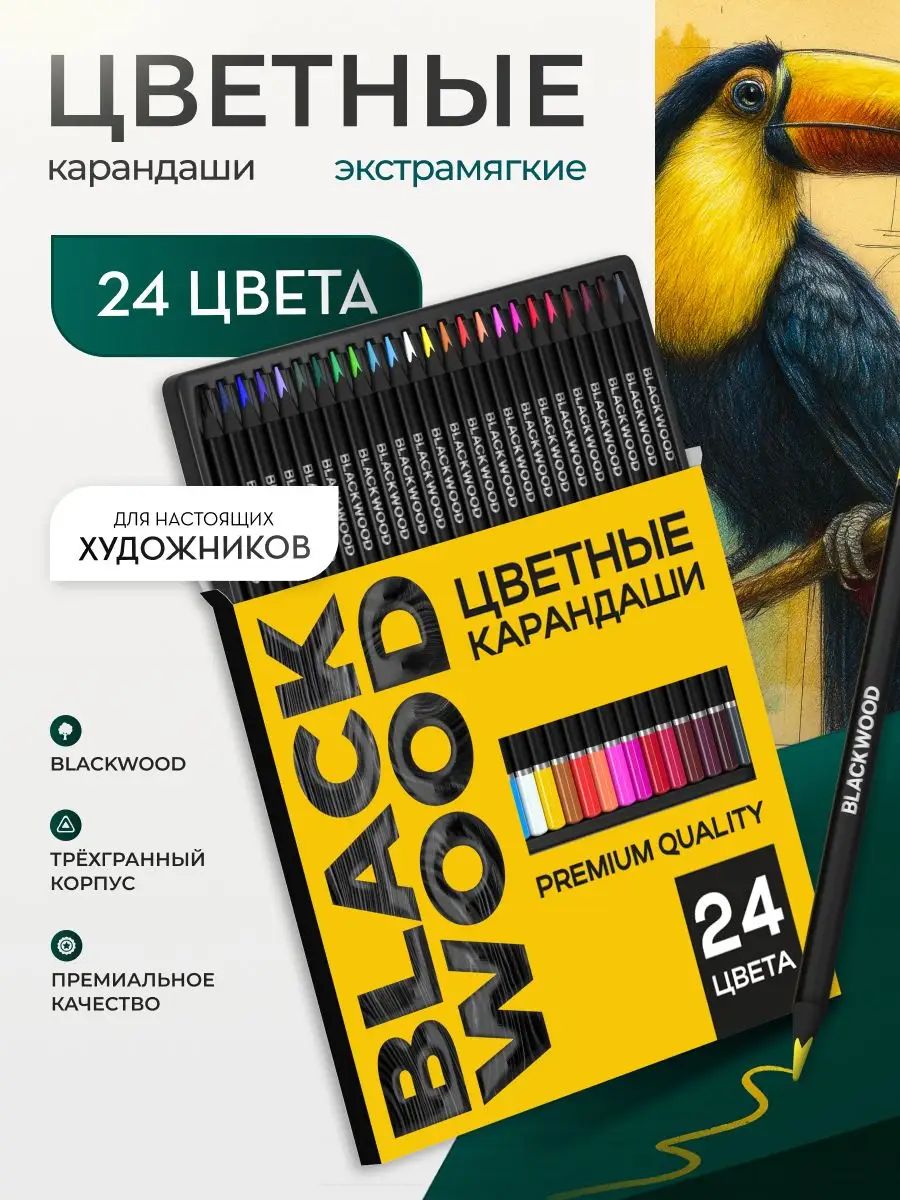 Набор цветных карандашей в картонной упаковке, 24 цвета-ml