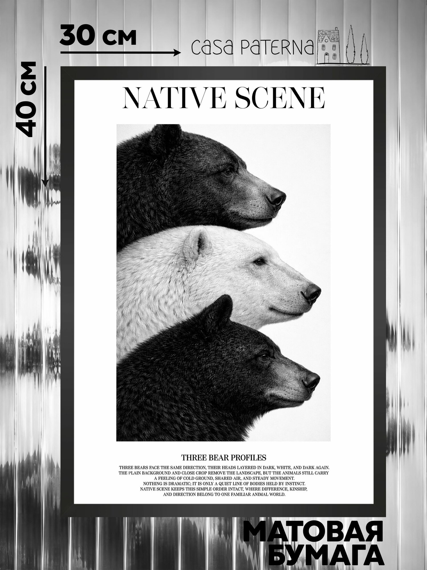 Постер на стену 30х40 Native Scene #31, черно-белая фотография для интерьера, чб без рамки Casa Paterna
