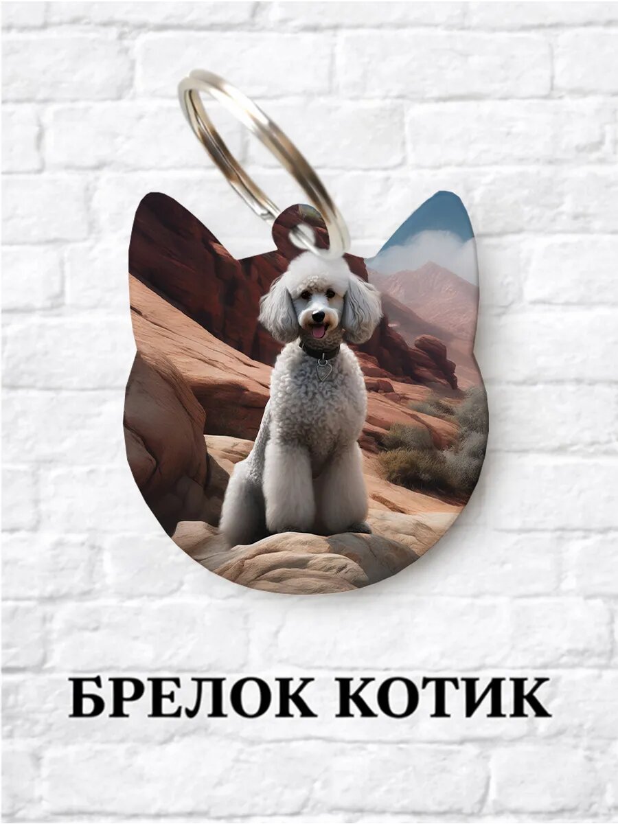 Брелок ZHENYA CLOUD