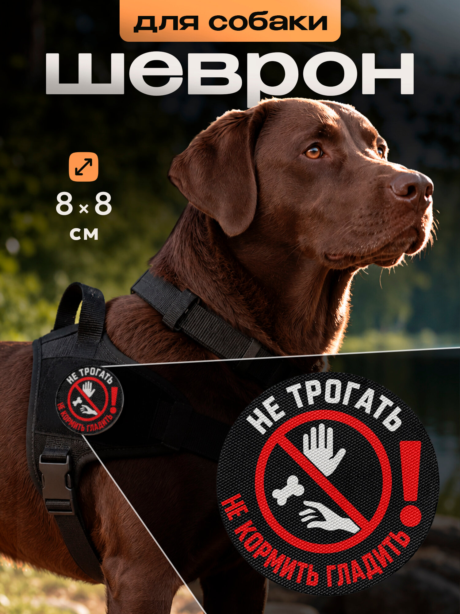 Шеврон для собак