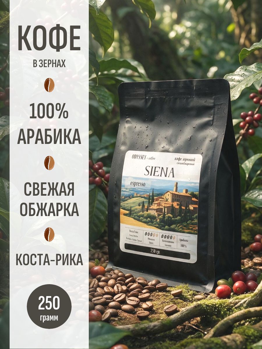 Кофе в зернах ODYSSEY Сиена 100% Арабика Коста-Рика Тарразу 250 г