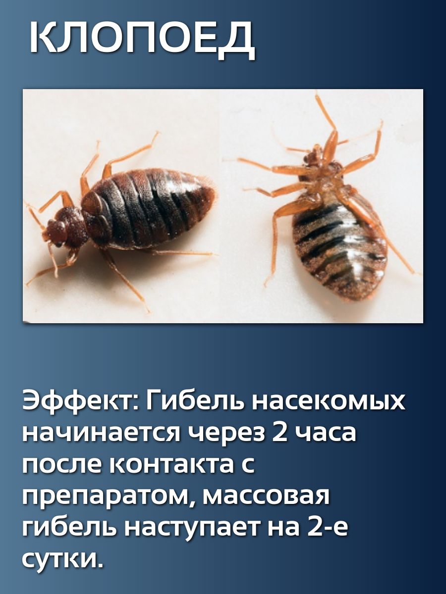 Клопоед 100 мл — фото 1