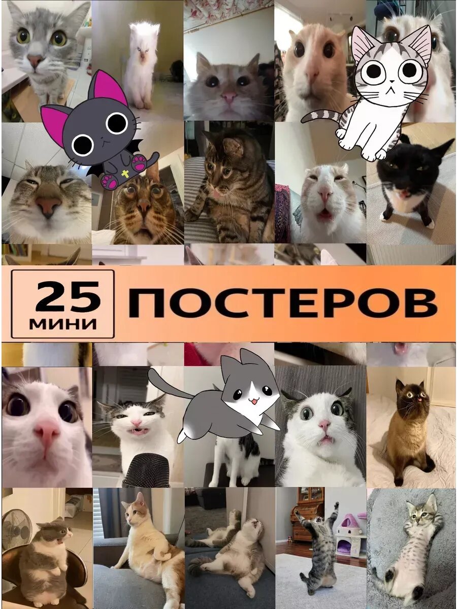 Мемные котики постеры