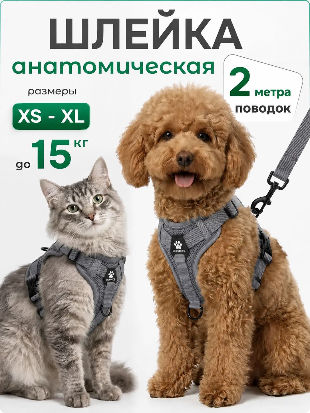 Шлейка для собак мелких средних пород и кошек с поводком