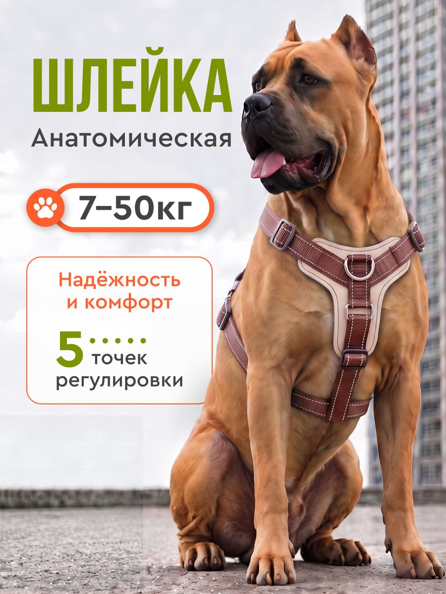 Шлейка анатомическая для собак крупных пород MiloPets, регулируемая, 2XL