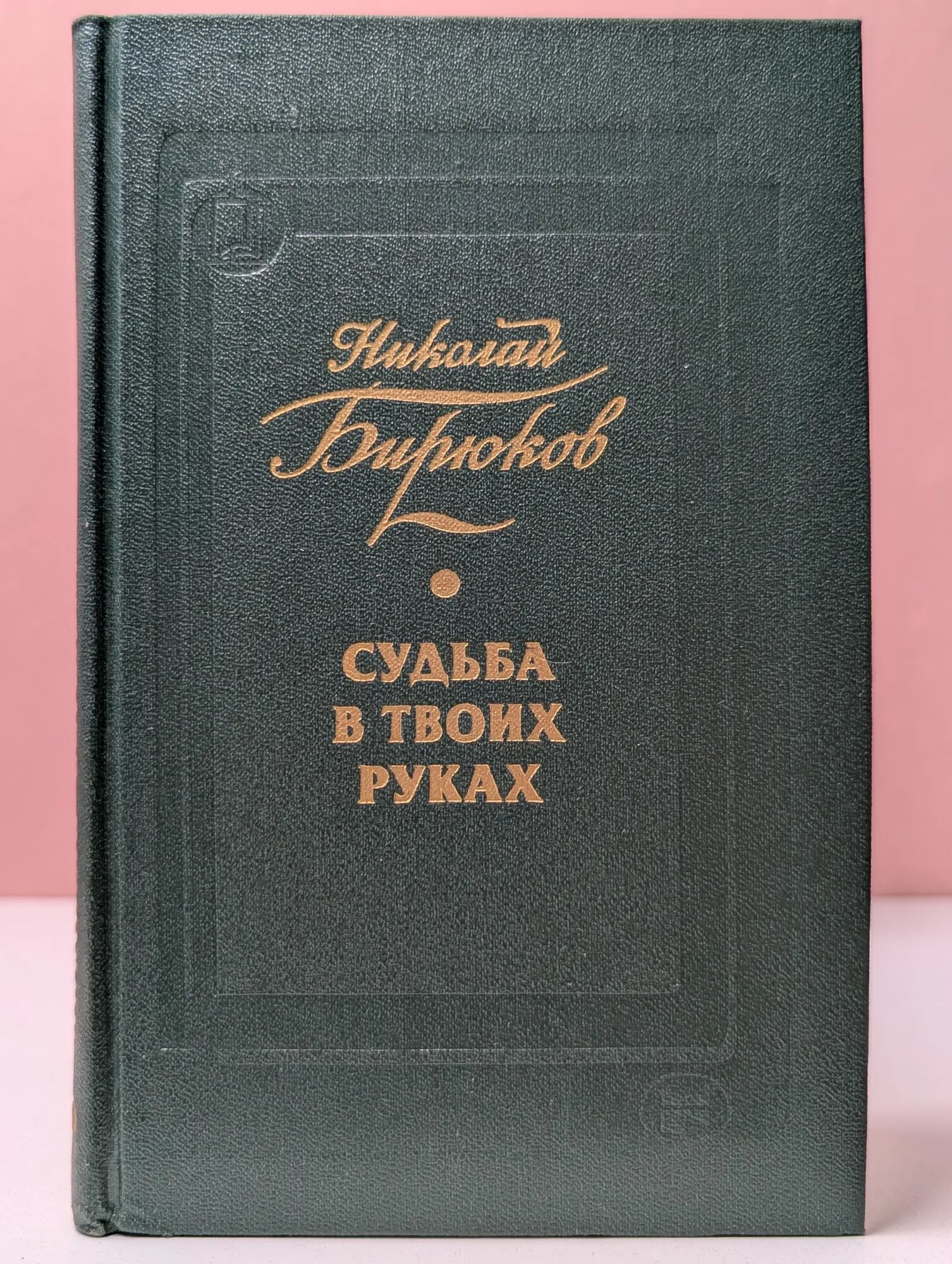 Писатель - молодежь - жизнь. Судьба в твоих руках Бирюков Николай Зотович 1984