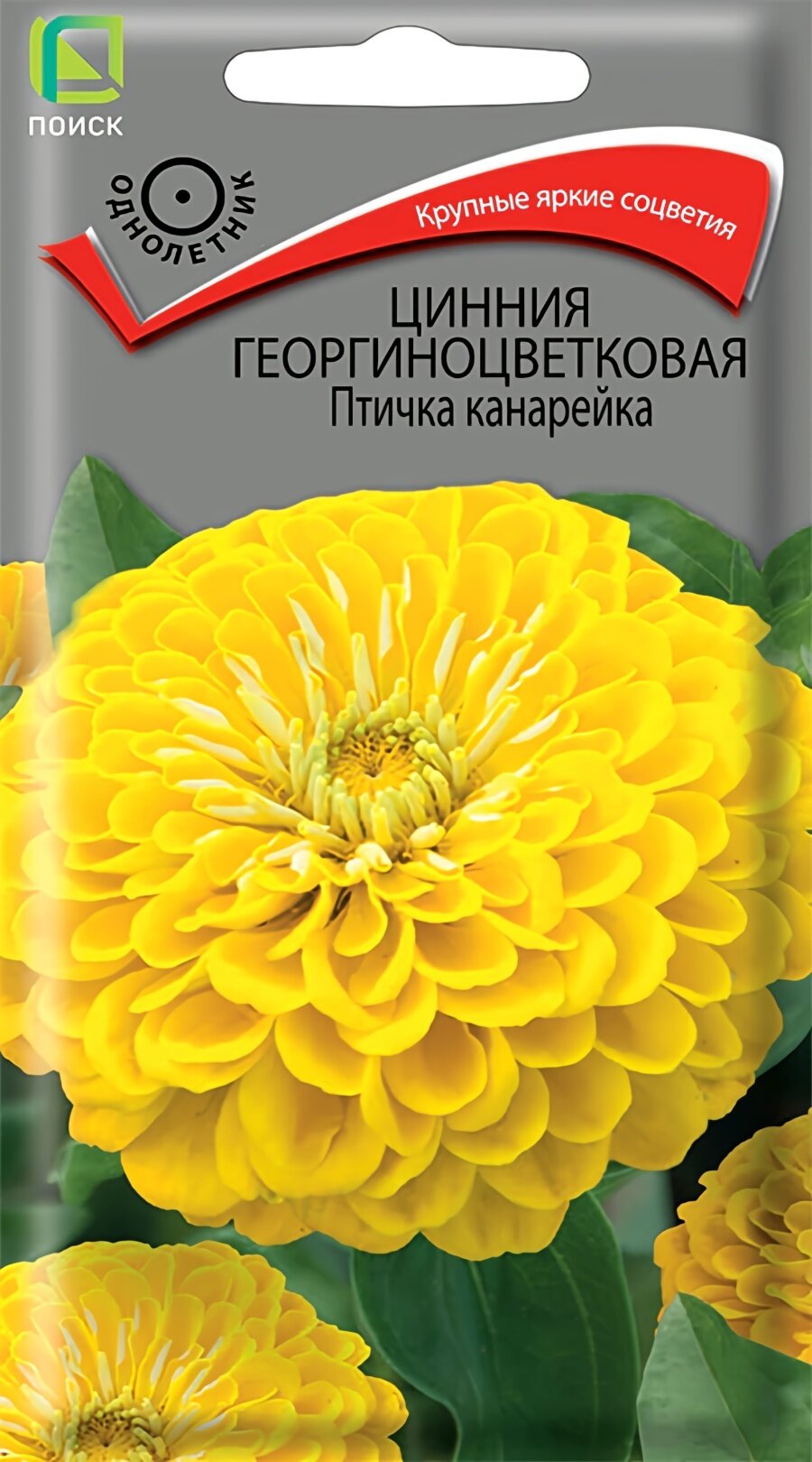 Семена циннии георгиноцветковой Птичка канарейка, 0,4 г, Поиск, однолетник, высота до 80 см, посев на рассаду в апреле