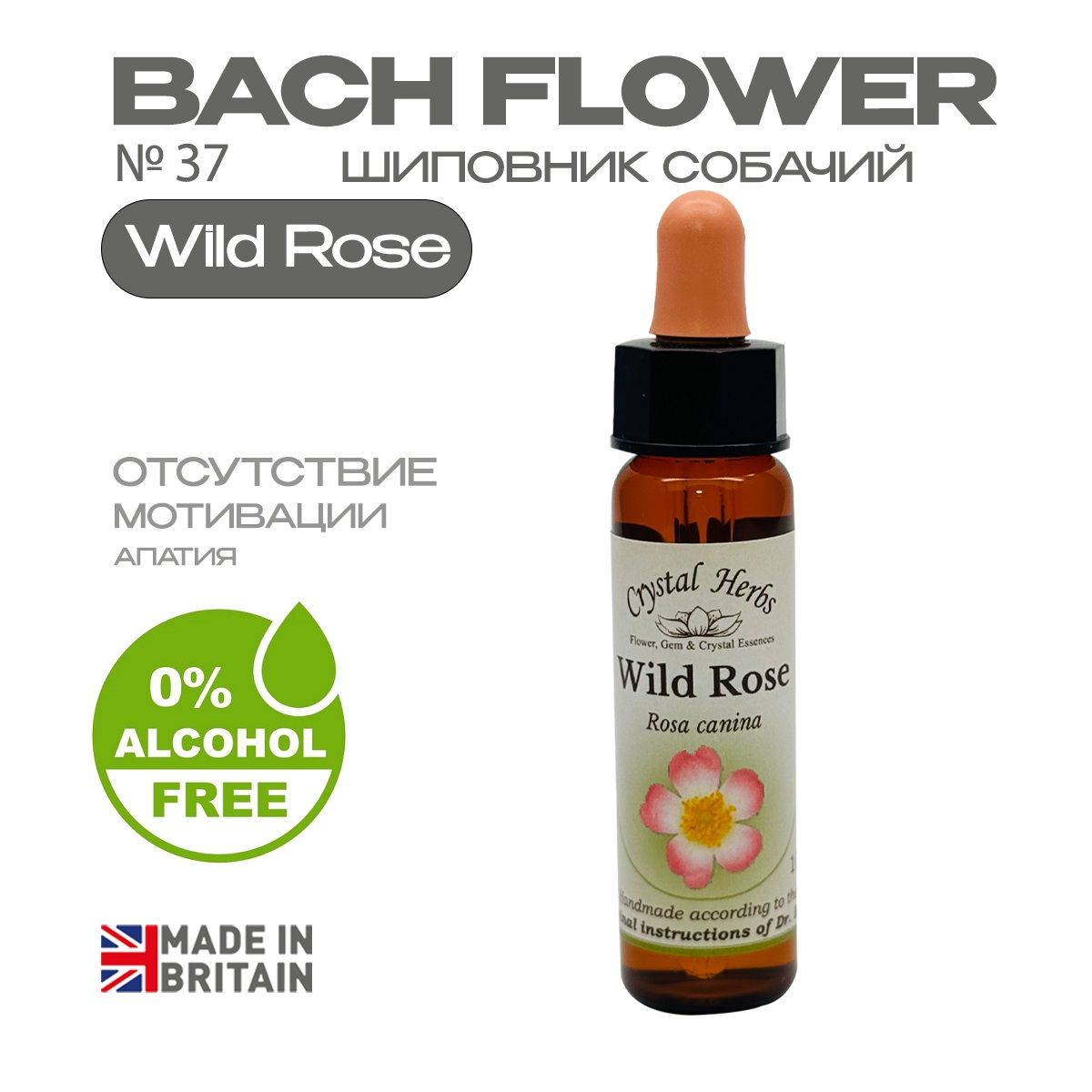 Бах. Эссенция безалкогольная №37 Wild Rose (Шиповник собачий) Уайлд Роуз - капли 10 мл. Англия