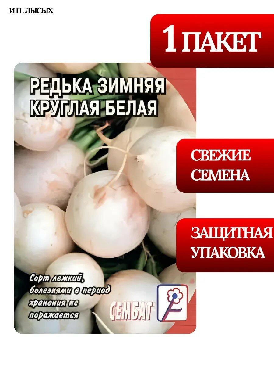 Семена Редька Зимняя "Круглая Белая"