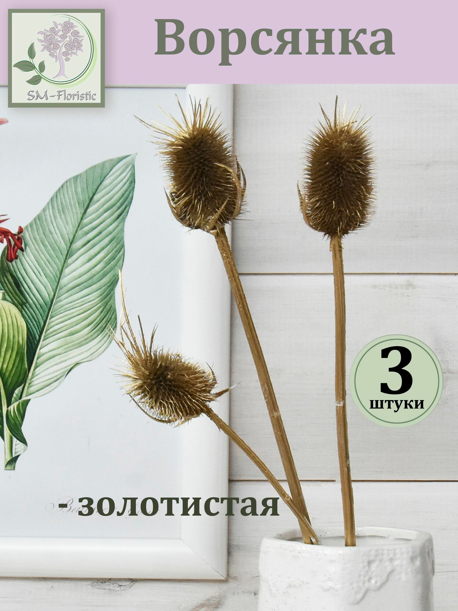 Ворсянка Золотистая (сухоцвет) / Букет для интерьера / Сухоцветы для декора