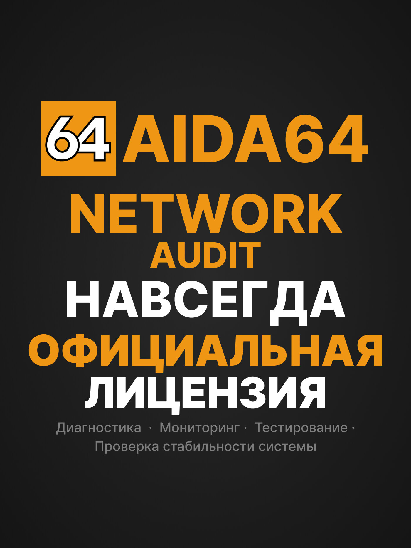 AIDA64 Network Audit / АИДА64 Нетворк Аудит — активация официальной лицензии
