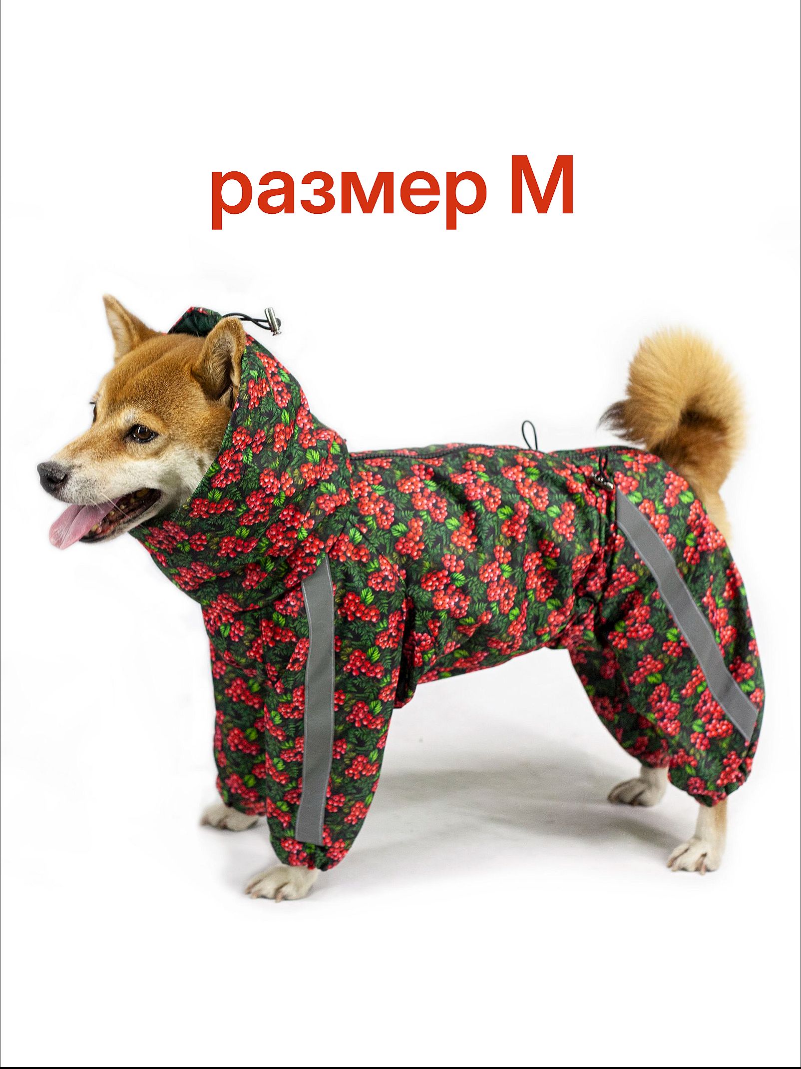 Комбинезон-дождевик на Басенджи (для девочки) "Брусника"