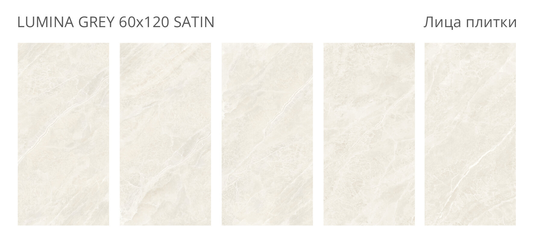 Керамогранит Staro Lumina Grey 60x120 Satin поверхность: Сатинированная с микрорельефом(цена за 1 шт -0,72 м2)